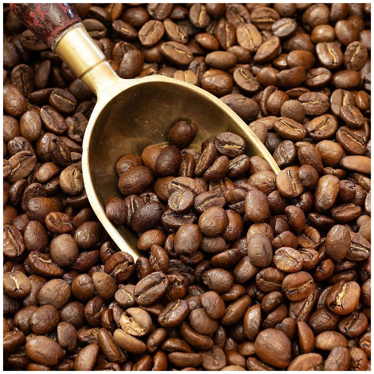 best black coffee: One of the most popular beverages in the world July ...